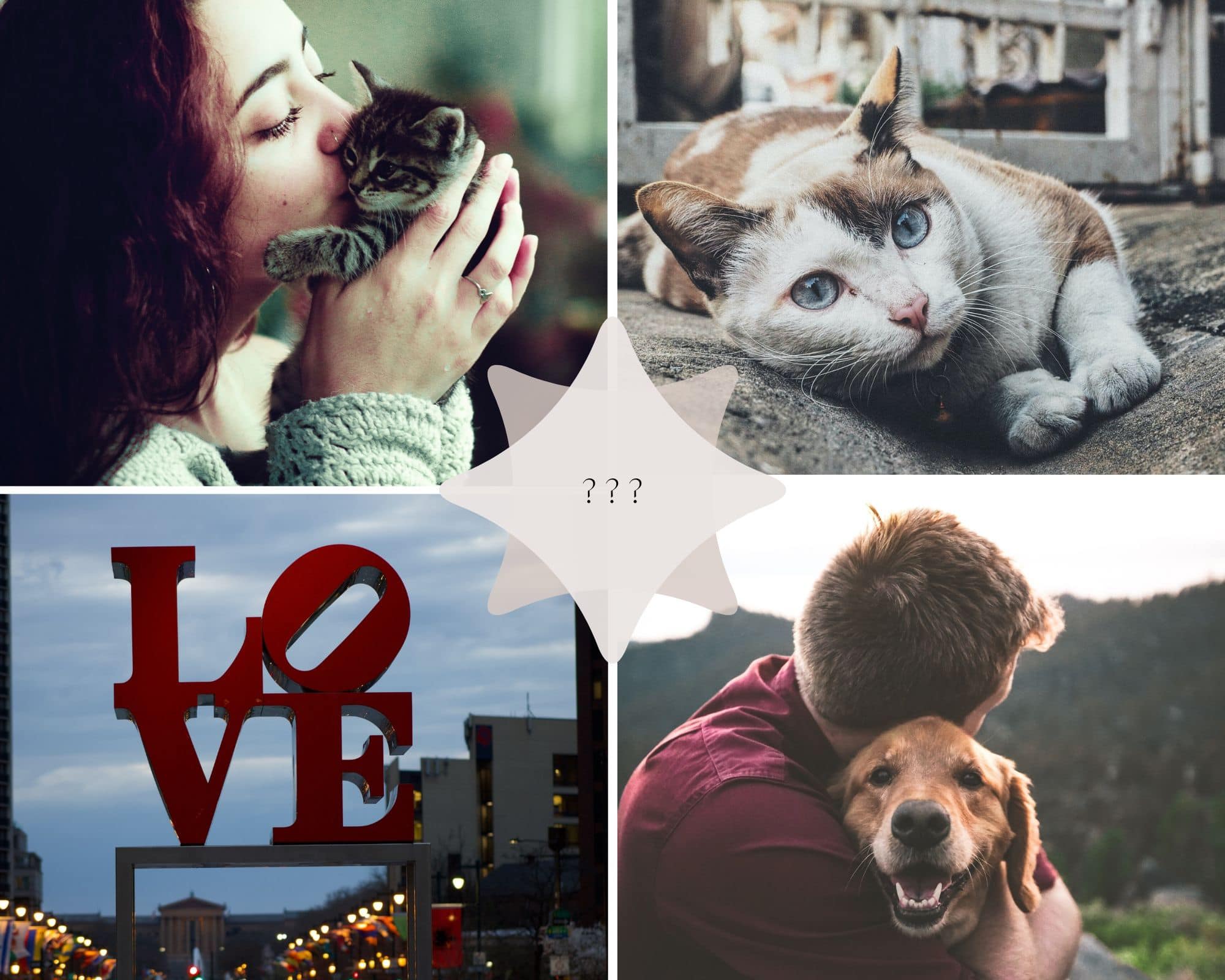 Manuscripts – Aimee Davis